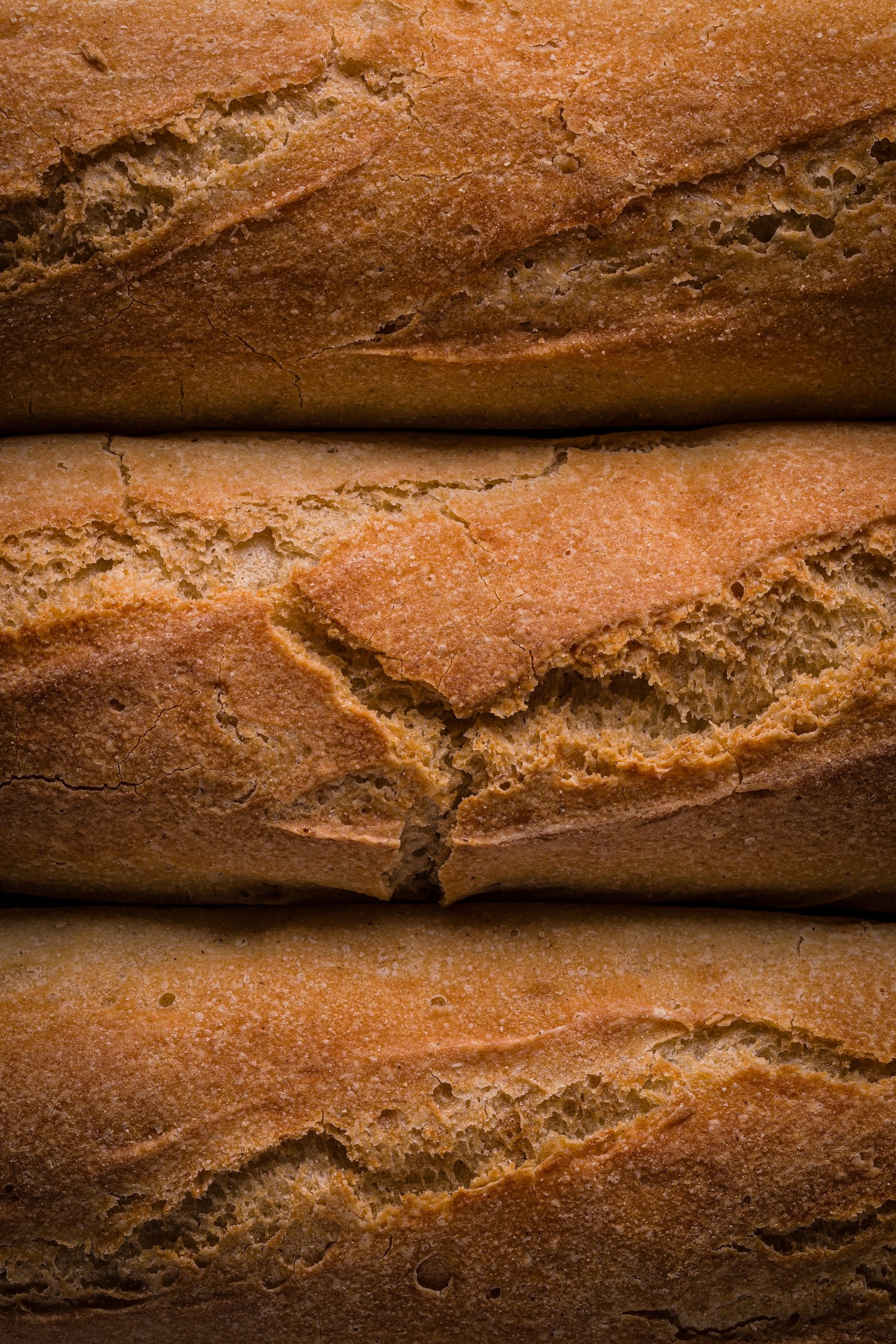 Demi-Baguette Multipack – Gifted Breads